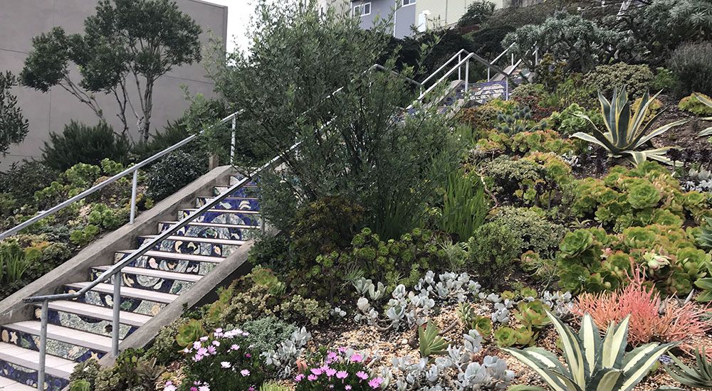 6 Secret San Francisco Staircases - HI USA
